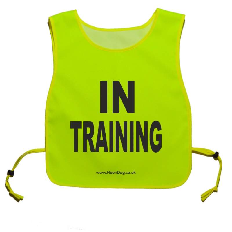 IN TRAINING - Give us space tabard