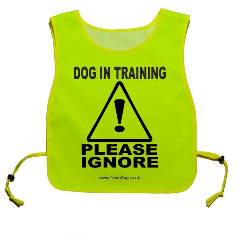 Dog in training please ignore - Give us space tabard